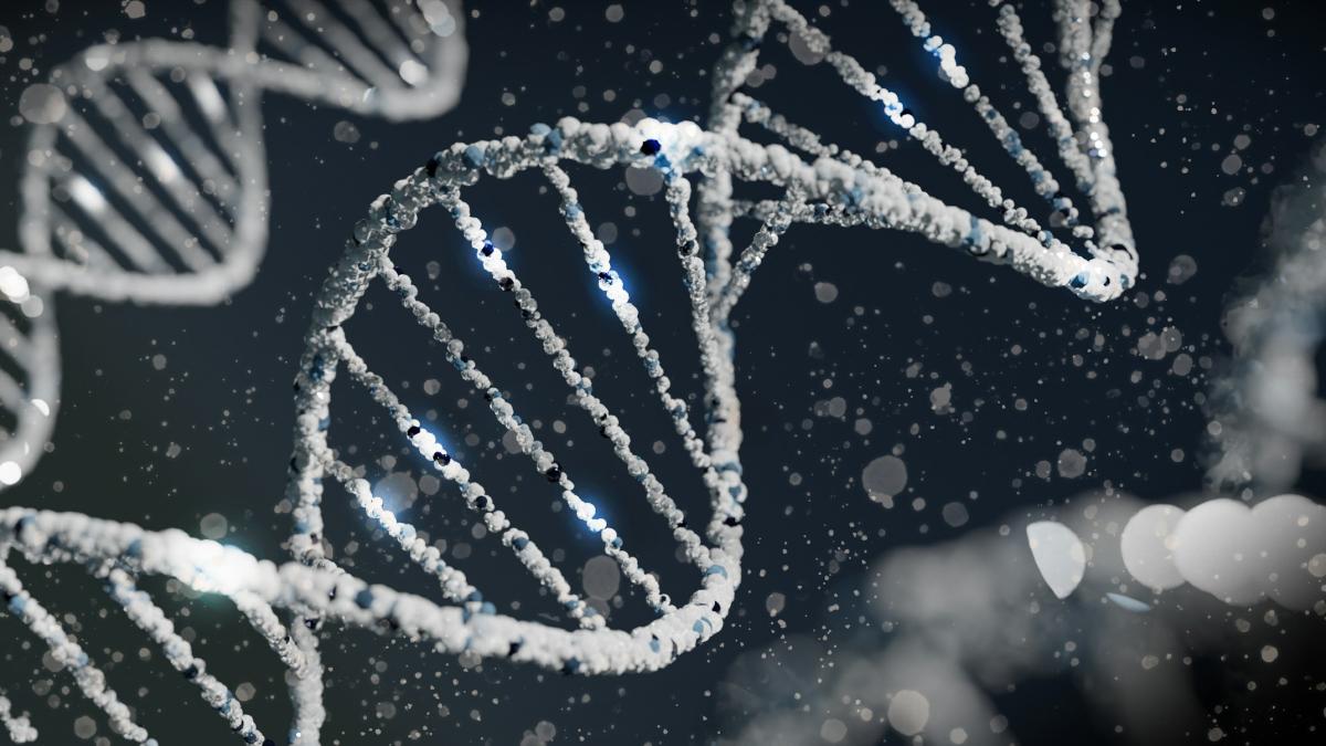 Genome Biology – Digital | Heidelberg School of Education